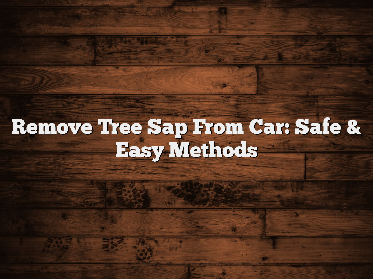 Remove Tree Sap From Car: Safe & Easy Methods - CarXplorer