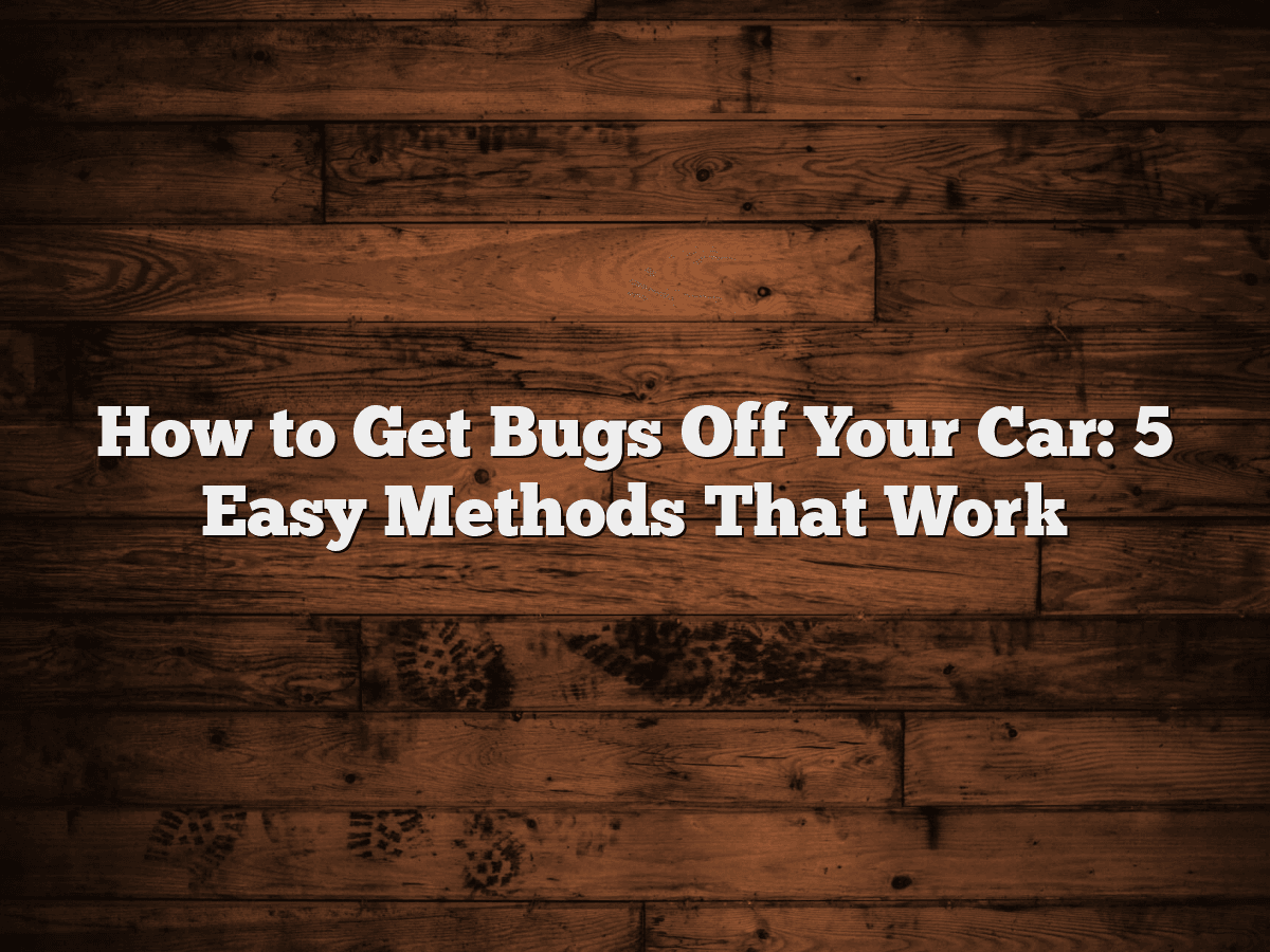 How to Get Bugs Off Your Car: 5 Easy Methods That Work - CarXplorer